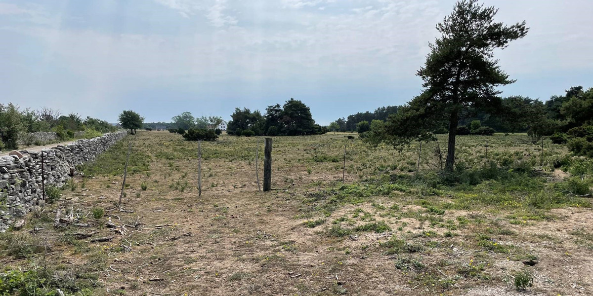 SGU ”avlyssnar” den gotländska berggrunden