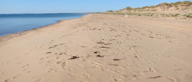Postglacialt sand och grus